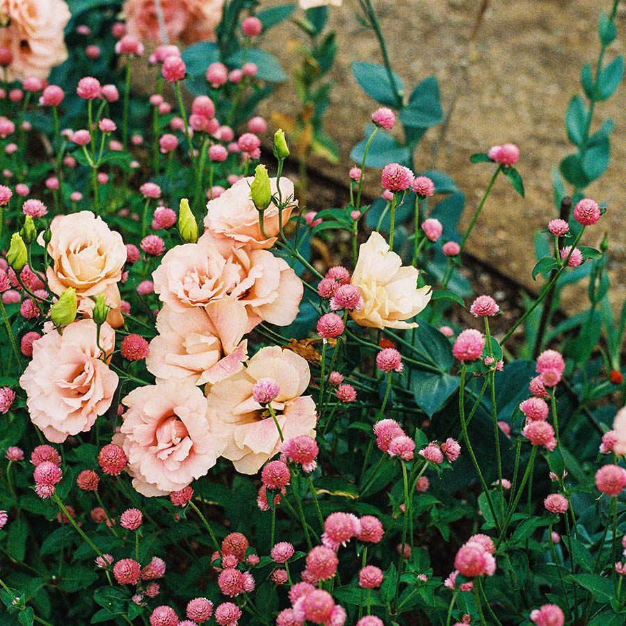 Apartments in Denver, CO | Welcome to RedPeak Properties